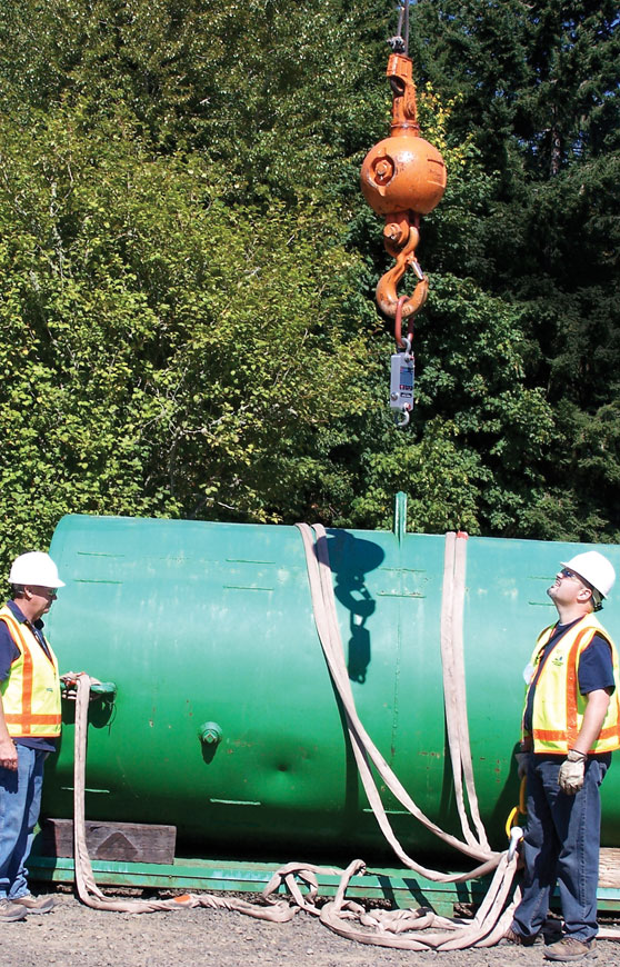 Rice Lake MSI-7300 Dyna-Link 2 Crane Scale | Industrial Scales | Instrumart