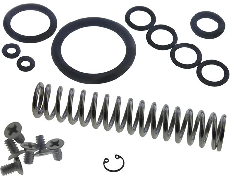 Ametek Rebuild Kit for T-900 Series Pumps | Instrumart